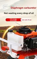 China Agricultural Micro Tiller, Hard Soil Loosening and Trenching Tool, Paddy Field Weeding and Tillage Machine for sale