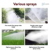 China Hand Push Charging Sprayer Spray Agricultural Disinfection Electric for sale