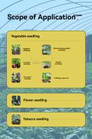 China Fully Automatic Plug Seedling Transplanter for Vegetables, Tobacco, Corn, Chili, and Eggplant for sale