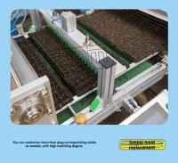 China Fully Automatic Plug Seedling Transplanter for Vegetables, Tobacco, Corn, Chili, and Eggplant for sale