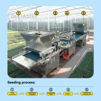 China Fully Automatic Plug Seedling Transplanter for Vegetables, Tobacco, Corn, Chili, and Eggplant for sale
