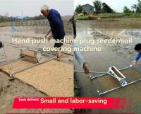 China Hand Pushed Rice Planting Machine with Tray for Seedling Cultivation and Sowing for sale