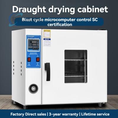 China Electric Constant Temperature Blast Drying Oven Laboratory Drying Oven Food Industry for sale