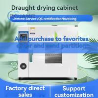 China Electric Constant Temperature Blast Drying Oven Laboratory Drying Oven Food Industry for sale