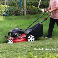 China Gasoline Lawn Mower, Manual Lawn Mower, Weeding Machine, Pruning Machine for sale