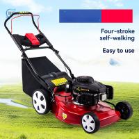 China Gasoline Lawn Mower, Manual Lawn Mower, Weeding Machine, Pruning Machine for sale