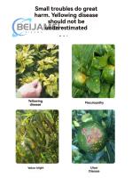 China Fruit Tree Irrigation, Hanging Needle, Filling, Inflation and air Pumping Integrated Machine for sale