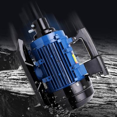China 220V Single-Phase Concrete Vibrator - Insertion Type Cement Vibrating Rod for Construction Engineering for sale