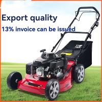 China 3000W High Power Lawn Mower, Self-Propelled Grass Cutter with Imported Alloy Blade, Ideal for Lawn Maintenance for sale