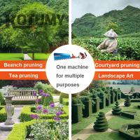 China Single/Double-Edged Tea Tree Pruning Machine Cutting Camellia Green Garden Hedge Gasoline Engine 12500r/Min 2.8KW for sale