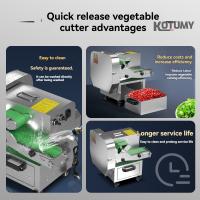China 200v/110v Multifunctional Vegetable Slicer, Commercial Fully Automatic Scallion and Chive Slicer for Canteens for sale