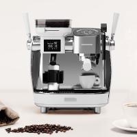 China C-series Grinding Household Double Pump Italian Semi Automatic White Coffee Machine for sale
