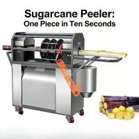 China High-Efficiency Electric Sugarcane Peeler Automatic Commercial Small Peeling Machine for sale