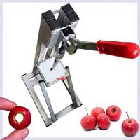 China Hawthorn Nucleation Tool Seed Removal Hawthorn Nucleation Tool for sale