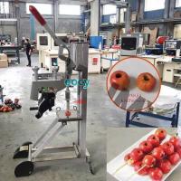 China Hawthorn Nucleation Tool Seed Removal Hawthorn Nucleation Tool for sale