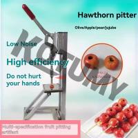 China Hawthorn Nucleation Tool Seed Removal Hawthorn Nucleation Tool for sale
