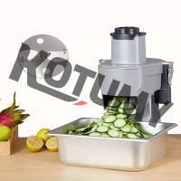 China Stainless Steel Electric Multi-Purpose Slicer For Vegetables Fruits And Meat-Vegetable And Fruit Chopper Machine for sale