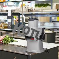 China Stainless Steel Electric Multi-Purpose Slicer For Vegetables Fruits And Meat-Vegetable And Fruit Chopper Machine for sale