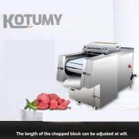 China Multi Functional Commercial Automatic Chicken Cutter Machine Beef Dicer Fish Dicing for sale