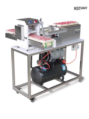 China Fully Automatic Skewer, Skewer, Commercial Multifunctional Pig, Cow, Sheep, Squid, Sliced Lamb, Barbecue Skewer for sale