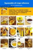 China Oil Extraction Machine for Sesame Peanut Coconut Palm Seed Oils for sale