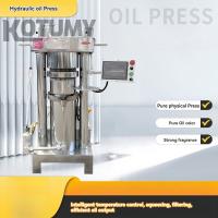 China Hydraulic Oil Press Vertical Hydraulic Sesame Oil Press for sale