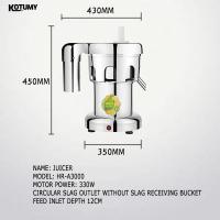 China Juicer Machine 330W Motor Centrifugal Juice Extractor Easy Clean Centrifugal Big Mouth Large For Fruits And Vegetables for sale