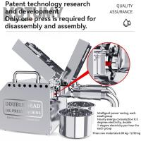 China Small Coconut Oil Extraction Machine Double Head  Vegetable Seeds Oil Pressers for sale