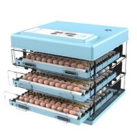 China New Design 22-Egg Capacity Mini Chicken Egg Incubator with Automatic Egg Turning 96% Hatching Rate Home Use for sale
