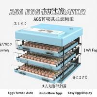 China New Design 22-Egg Capacity Mini Chicken Egg Incubator with Automatic Egg Turning 96% Hatching Rate Home Use for sale