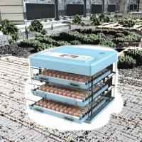 China New Design 22-Egg Capacity Mini Chicken Egg Incubator with Automatic Egg Turning 96% Hatching Rate Home Use for sale