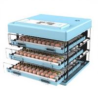 China New Design 22-Egg Capacity Mini Chicken Egg Incubator with Automatic Egg Turning 96% Hatching Rate Home Use for sale