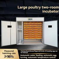 China Fully Automatic Large-scale Incubator for sale