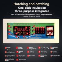 China Fully Automatic Large-scale Incubator for sale