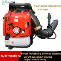China EB850 4-stroke Industrial Grade Power Blower For Household And Garden Use, Powerful DIY Gasoline Engine for sale