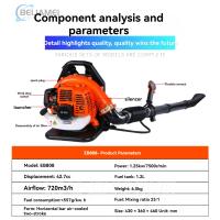 China Two-stroke EB808 Gasoline Blower, Backpack Industrial Dust Blower, Leaf Wind Extinguisher for sale