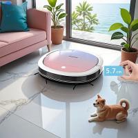 China Sweeping robot ultra-thin intelligent automatic household vacuum cleaner drag in one for sale