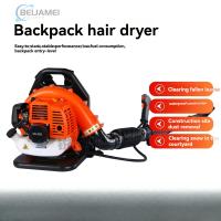 China Backpack Leaf Blower Gas Powered 42CC 4-Stroke Backpack Gas Powered Leaf Blower Air Cooling Gasoline Backpack Grass Blower for sale