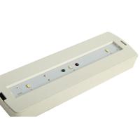 China Maintained 110V/220V Rechargeable Emergency Light with Ni-Cd Battery, 3 Hour Duration, 262×100×46mm for sale
