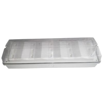 China Rechargeable Emergency 3W LED Lighting IP65 Waterproof 220-240V 3.6V Battery for sale