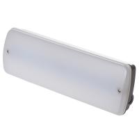 China IP65 Waterproof 3W Maintained LED Emergency Lamp Fireproof ABS 220-240V 3 Hours for sale