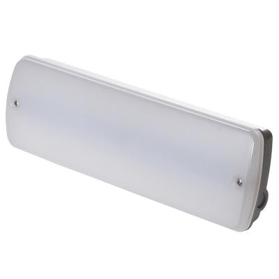 China IP65 Waterproof 3W Maintained LED Emergency Lamp Fireproof ABS 220-240V 3 Hours for sale