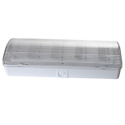 China 220V LED Rechargeable Battery Emergency Light IP20 for sale