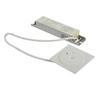 China IP20 Self-Testing Emergency LED Light 3W 3.6V Battery 350mm for Commercial Buildings for sale
