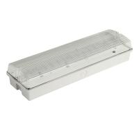 China IP65 Waterproof Surface Wall Mounted Emergency Light with 60 LED & 3.6V Battery - 345mm×107mm×76mm for sale