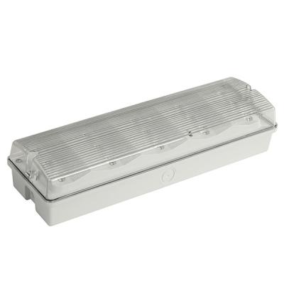 China Rechargeable Maintained Emergency Exit Light 3.6V 0.6Ah Nickel-Cadmium Battery IP65 CE for sale