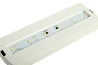 China IP65 LED Emergency Light with 3-Hour Backup, 262mm × 100mm × 46mm Weatherproof Design for Buildings for sale