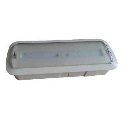 China 220V Wall Recessed Emergency Light with 3 Hours Autonomy, LED Outdoor Lighting 262x100x46mm for sale