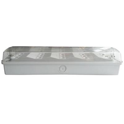 China IP65 Waterproof LED Rechargeable Emergency Light 3 Hours ABS Casing Exit Sign for sale