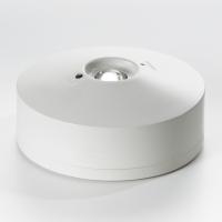 China 3.6V 600mAh Rechargeable Emergency Light 100 Lumens Maintained Non-maintained IP20 for sale